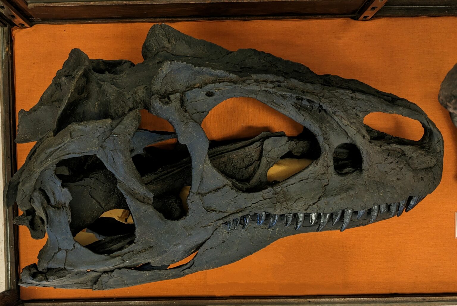 Greybull Museum - Town of Greybull - Hub of the Bighorn Basin